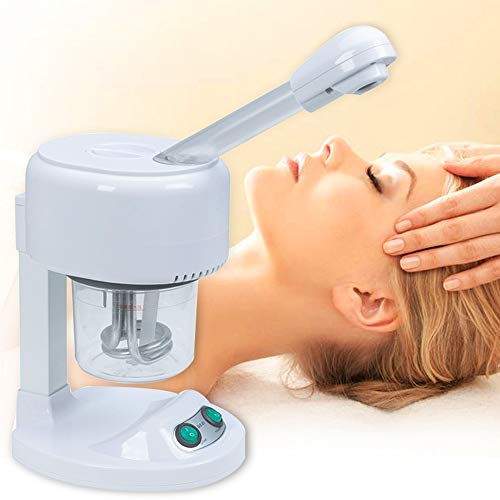 Facial Steamer, Hot Mist, Ozone Humidifier, Can Use at Home and Beauty ...